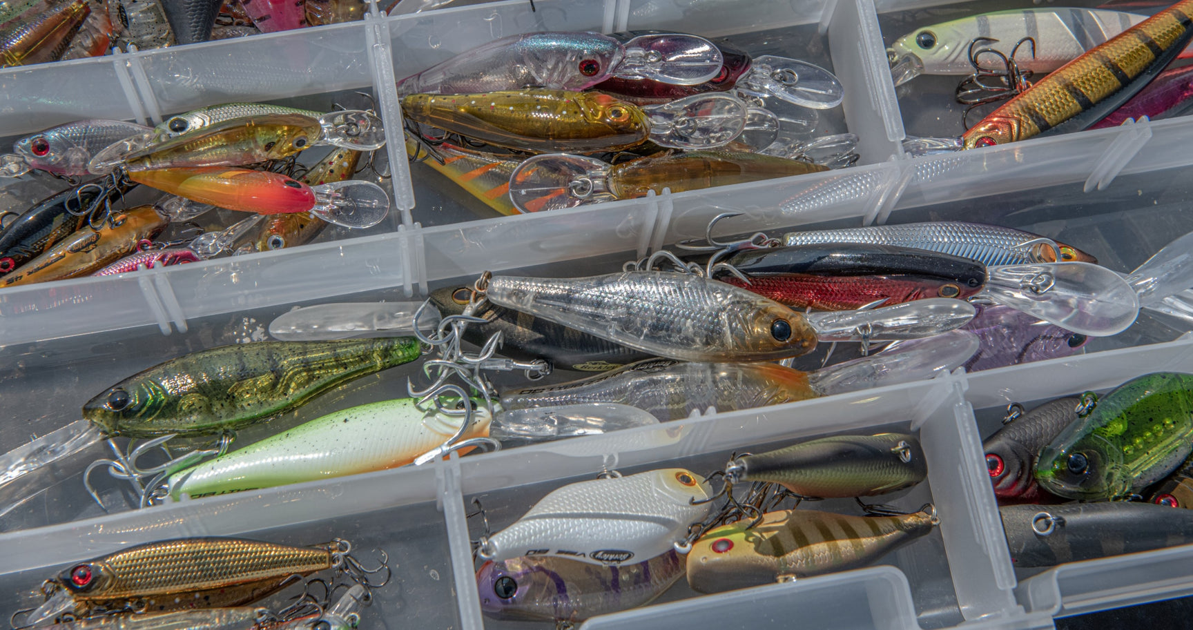 Gun City + Fishing Napier – Gun City Fishing